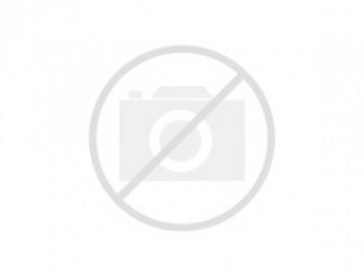 Wonderful Saigon Electrics Co., Ltd. (WSE)